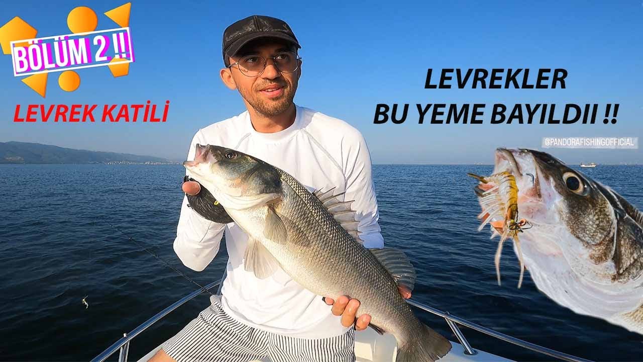 LEVREK AVI BÖLÜM 2 | KATİL KARİDESLER İŞ BAŞINDA | İZMİR BALIK AVI ...