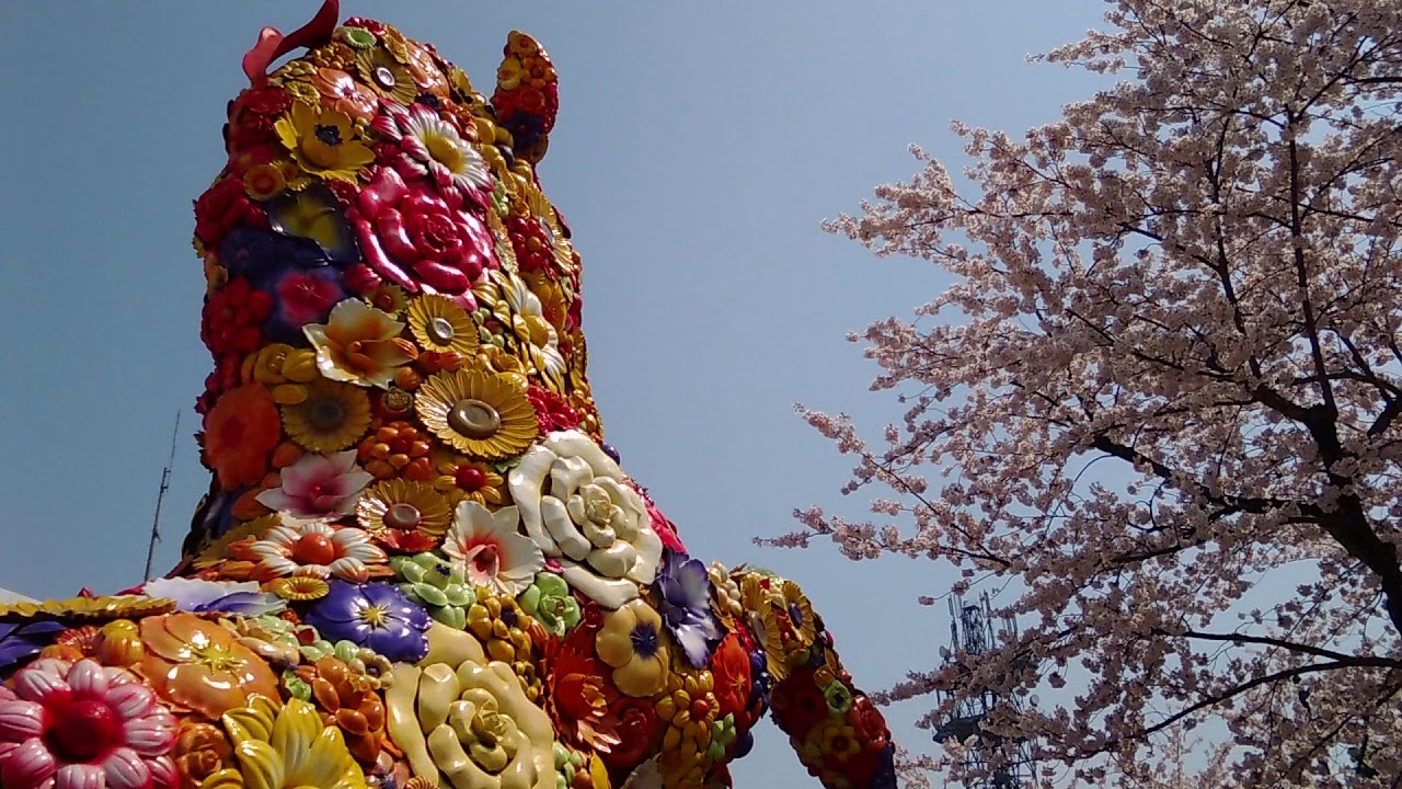 十和田市春まつり2018 Towada-shi Spring Festival 2018 - YouTube