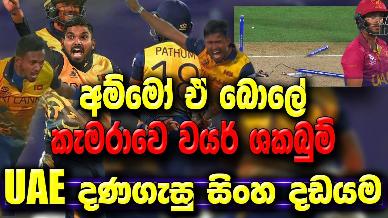 SL vs UAE | Sri lanka defeat UAE by 79 runs to keep T20 World Cup hopes ...