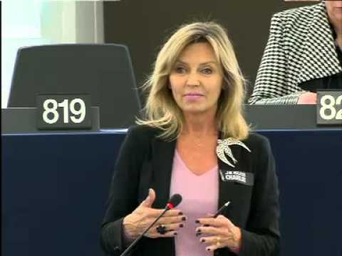 Frédérique Ries 13 Jan 2015 plenary speech on Possibility for the ...