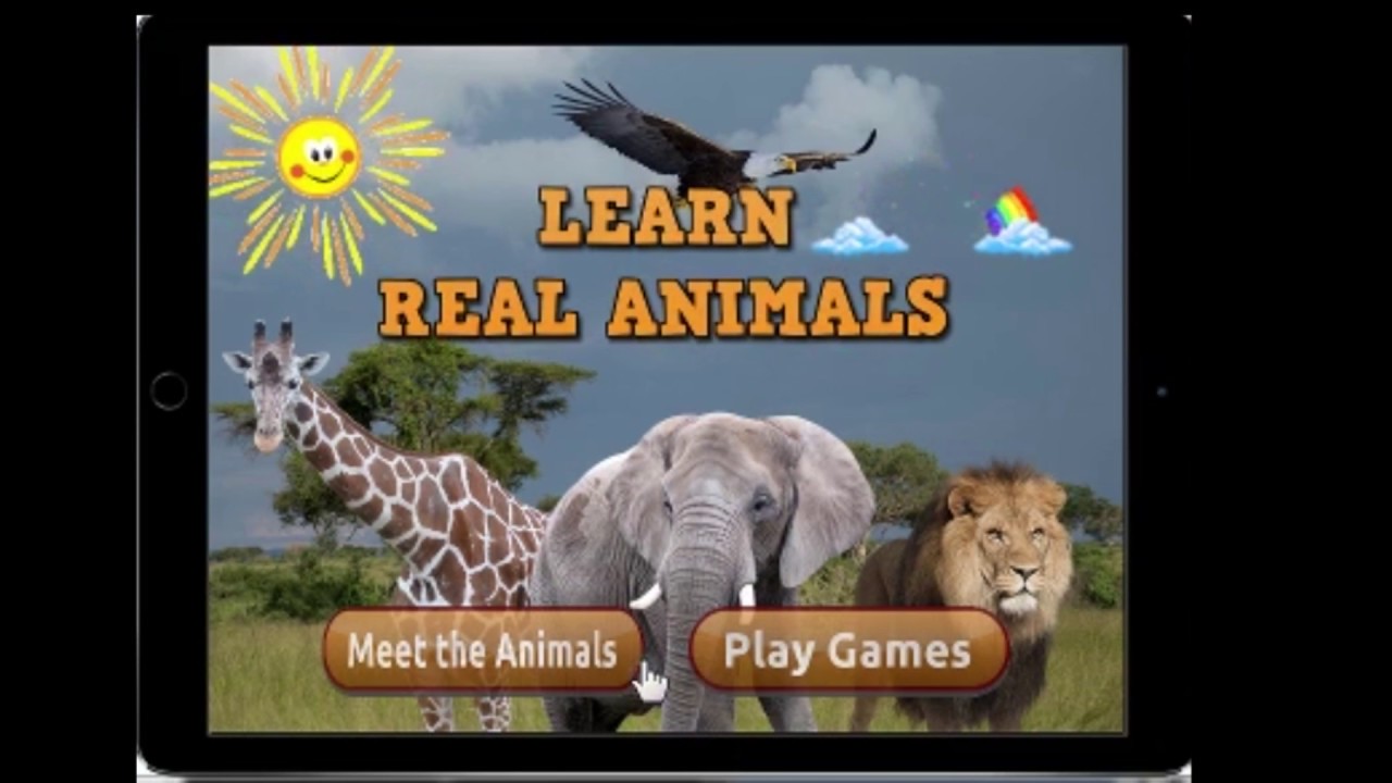 Learn Real Animals - YouTube