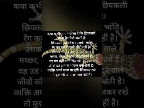 motivation in lizar||  छिपकली में प्रेरणा #short