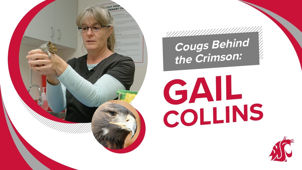 Cougs Behind the Crimson: Gail Collins - YouTube
