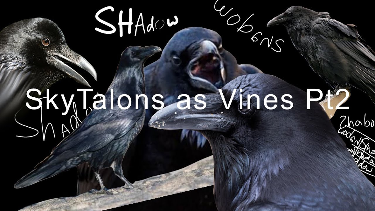 SkyTalons as Vines Pt2| SpOileRs - YouTube