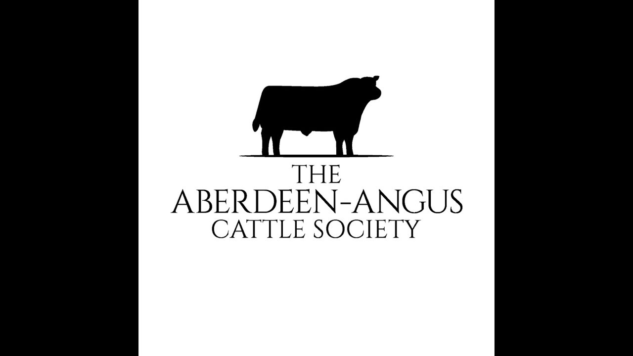 Show of Aberdeen Angus at Stirling at 9.00am on Sunday 5th February’23 ...