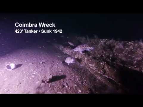 Seafood Safari TV @ The Coimbra shipwreck - YouTube