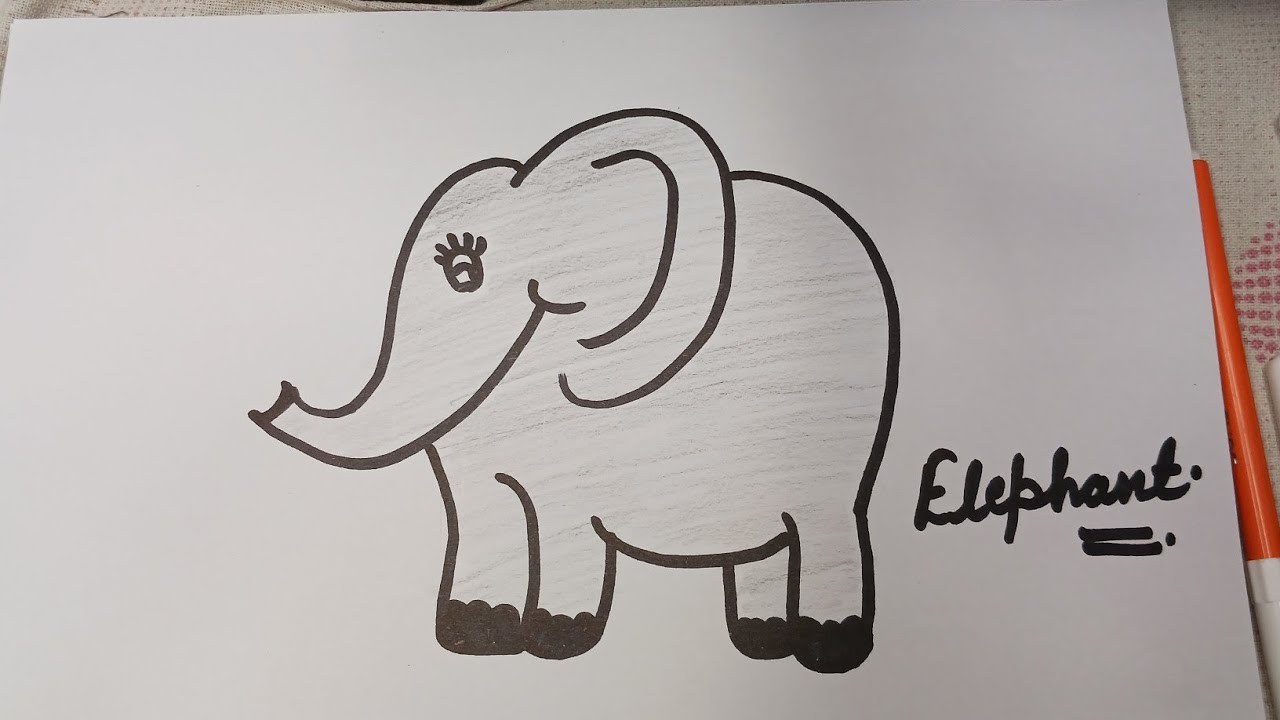 How to Draw a cute elephant/ how to Draw easy elephant/ drawing easy ...