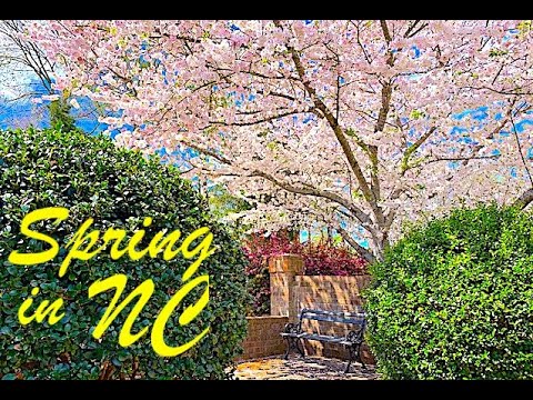 Spring in North Carolina - YouTube