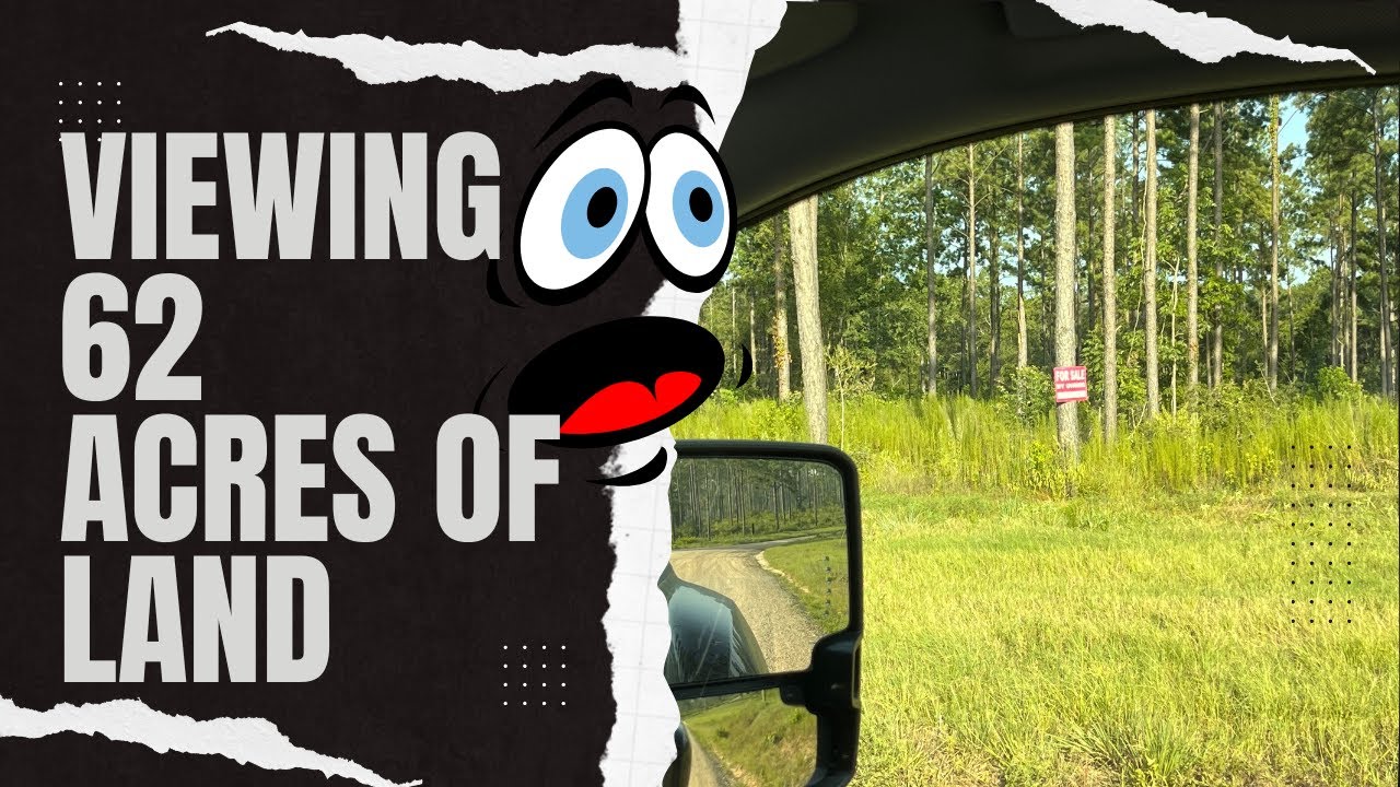 Viewing 62 Acres In East Texas Will We Make A Offer On This Land To ...