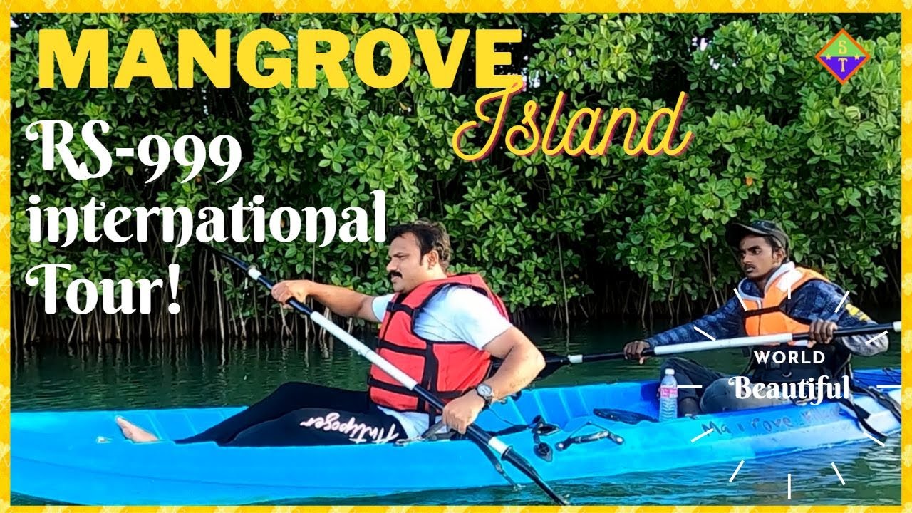 Mangrove Island I Kayaking I Paravur Mangrove Forest I Mangrove Village ...
