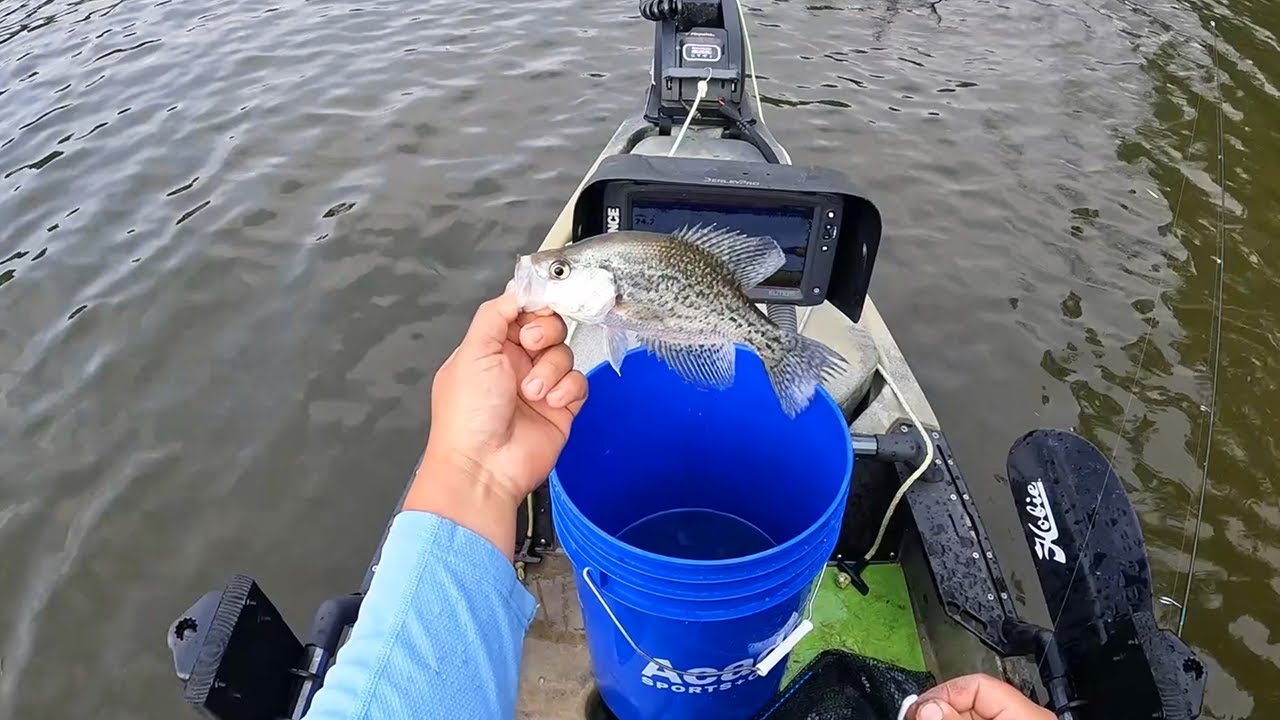Crappie Fishing Fallen Trees! Lots of Fish! Kayak Fishing High Rock ...