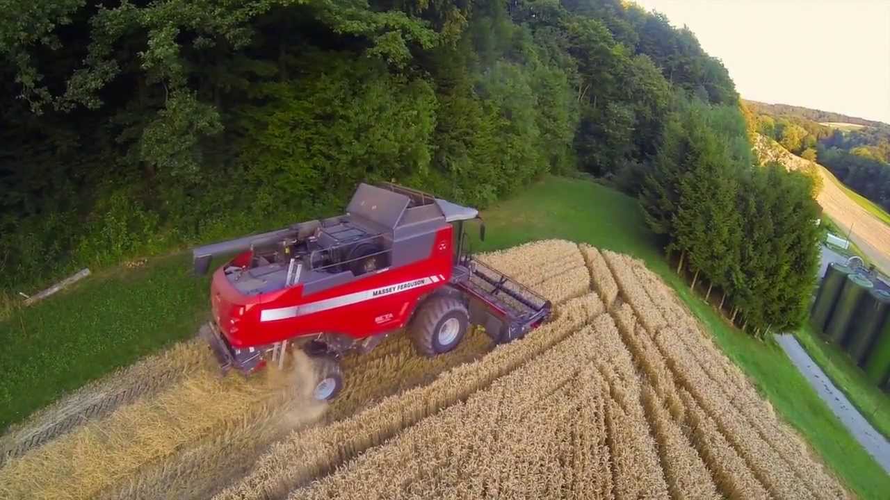 MF BETA Paralevel 7360 PLi - Böbikon, Weizenernte - YouTube