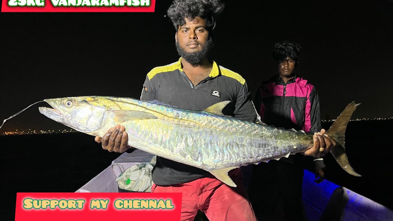 25kg vanjaram fish catching in deap sea #fishing #fish #eelcatch # ...
