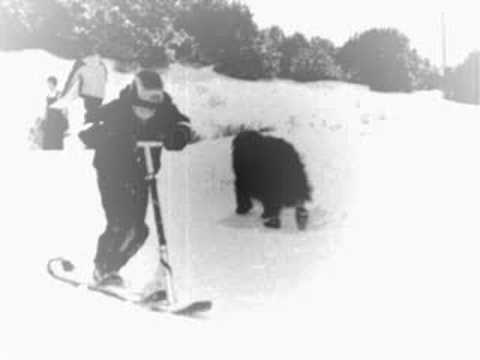 Mysterious paranormal beast creature unexplained real - YouTube