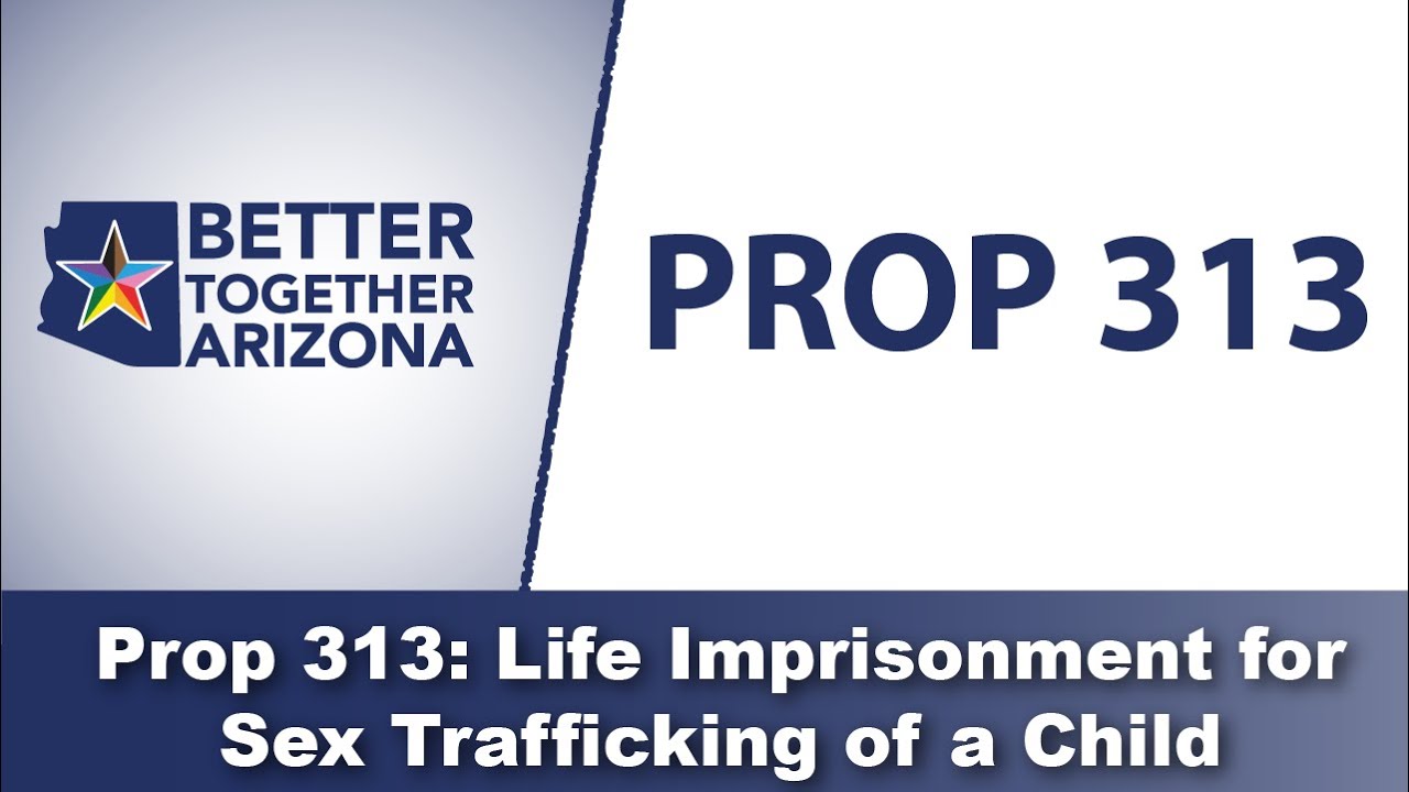 Better Together Arizona - Arizona Ballot Initiatives 2024 - Prop 313 ...