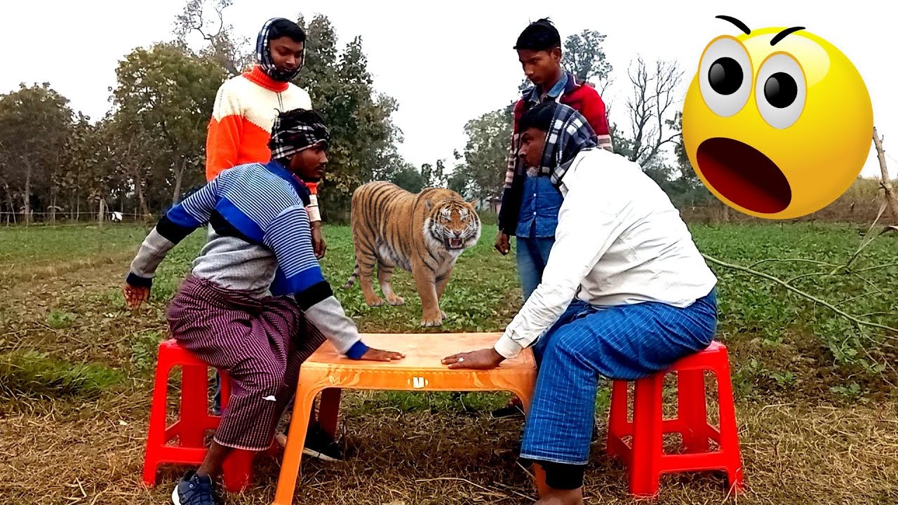 Tui Tui Funny Video tui tui best comedy tui tui FunnyC tui tui Must ...