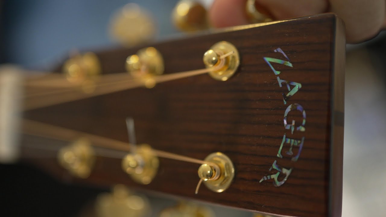2022 Zager 900 CE, Fishman Aura, Wil Hodge - YouTube