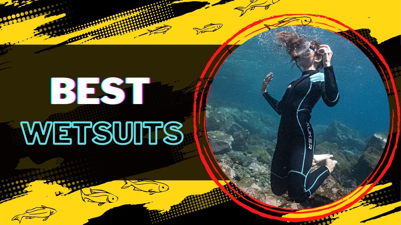 Top 10 Best wetsuits Review | stay warm and protected in any season ...
