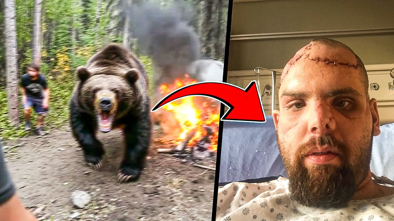 The HEART-POUNDING Grizzly Attack on Jeremy Evans - YouTube