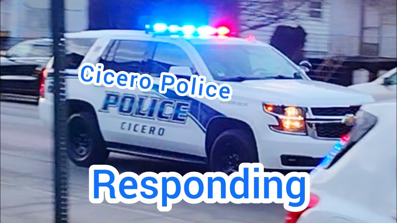 Cicero Ny Police Calls at Douglas Wilder blog