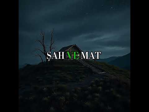 ŞAH VE MAT - SNprod