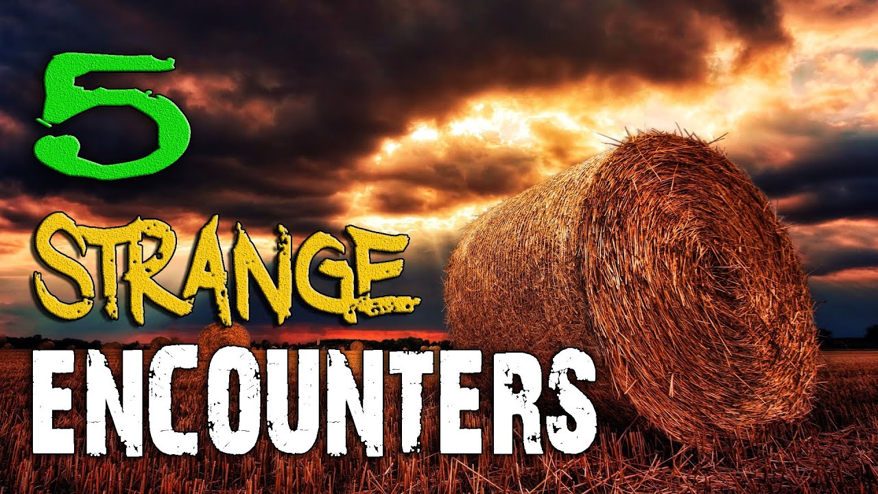 Secrets in the Shadows: 5 Insane Encounters That I Found Terrifying - YouTube