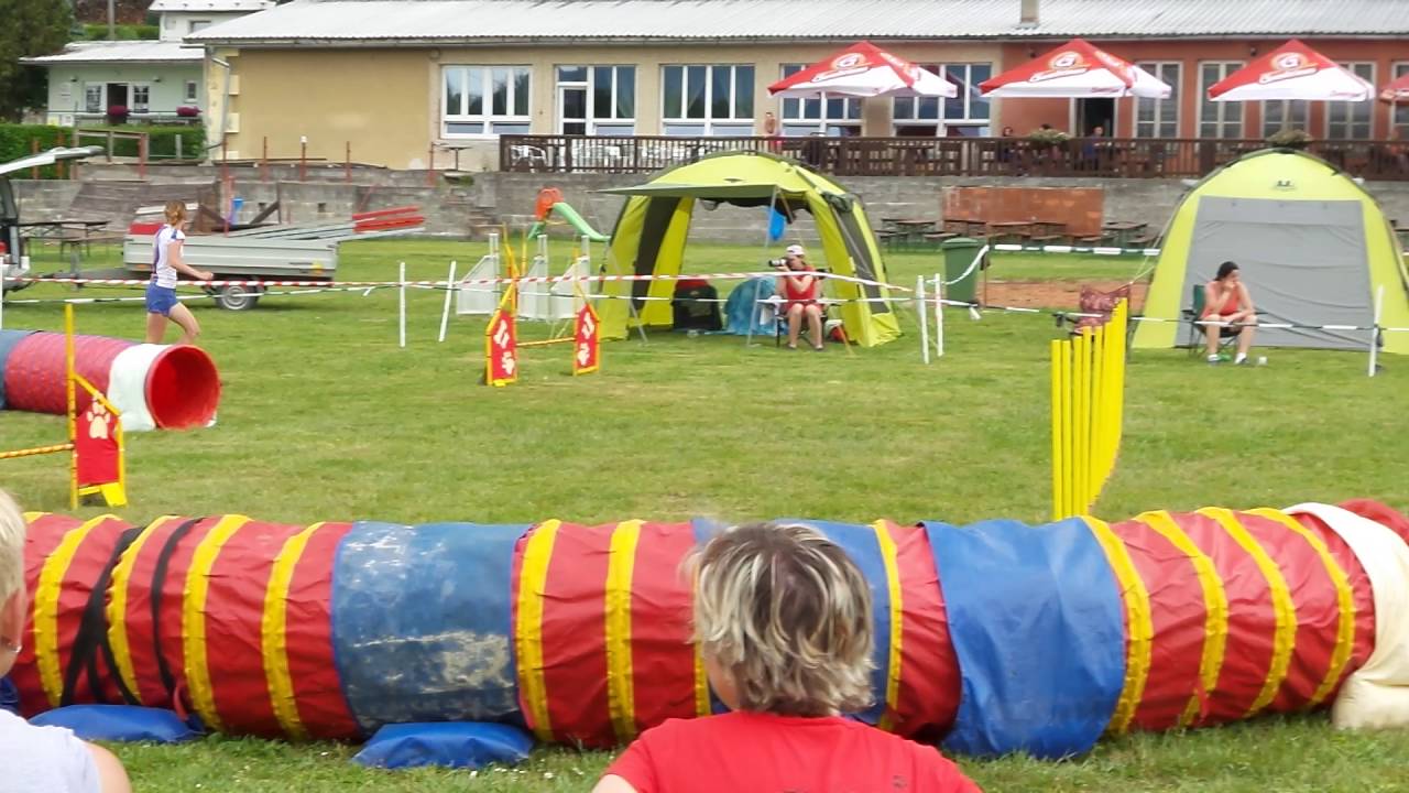 Csoki - 12 years old mudi running veteran jumping competition :-) - YouTube