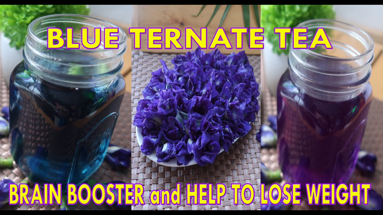 Blue Ternate Tea | Butterfly Pea Flower Tea - YouTube