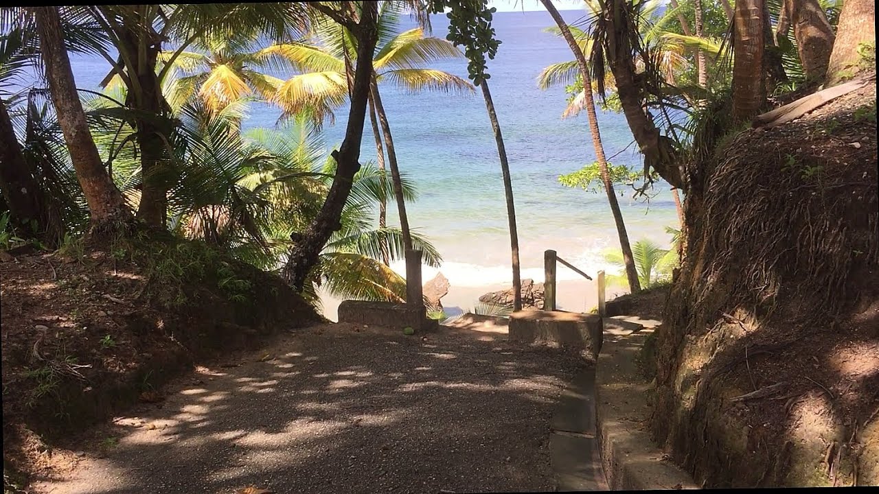 Blanchisseuse Village - Trinidad North Coast Heaven - YouTube