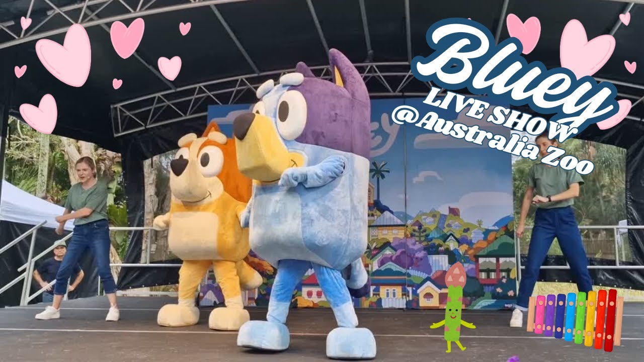 Bluey Show Australia Zoo for Grace Warrior's 4th Birthday - YouTube