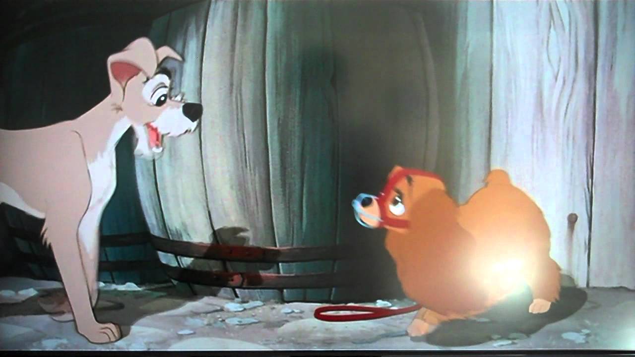 Lady And the Tramp Diamond Edition English Trailer - YouTube