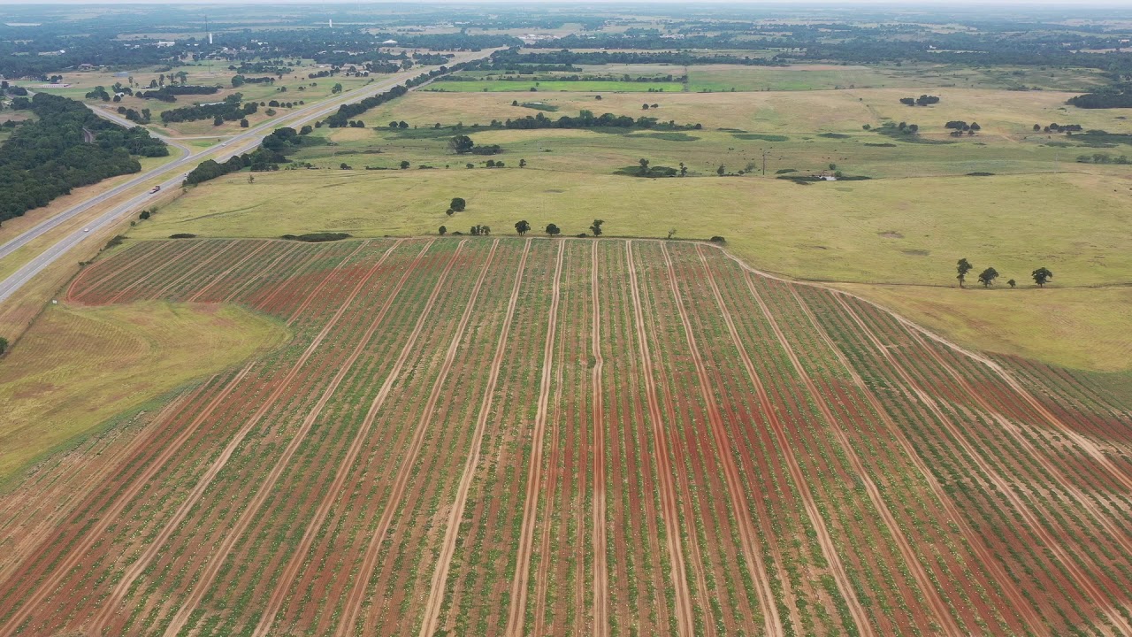 Oklahoma farm land, the flat plains DJI MAVIC PRO 2, Wheat, Corn, Hay ...