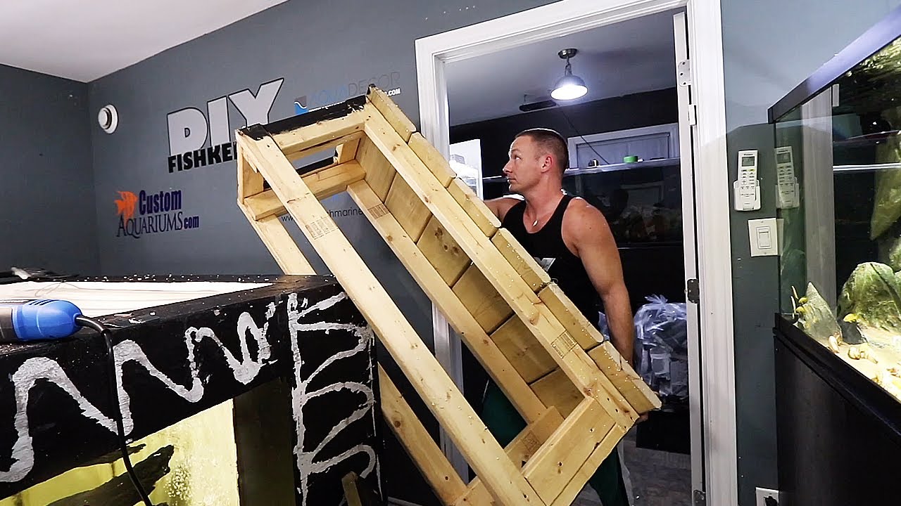 AQUARIUM GALLERY REVEAL The king of DIY - YouTube