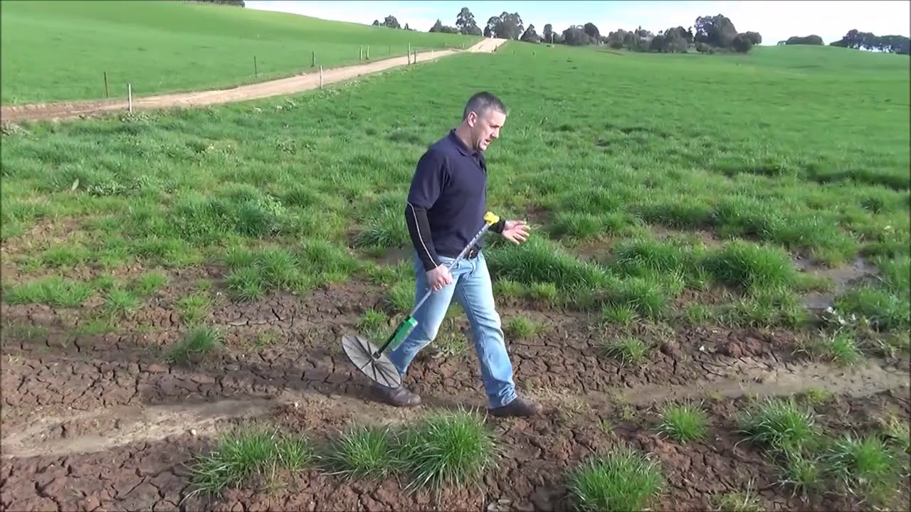 Using a plate meter to measure pasture | TIA Dairy Team - YouTube
