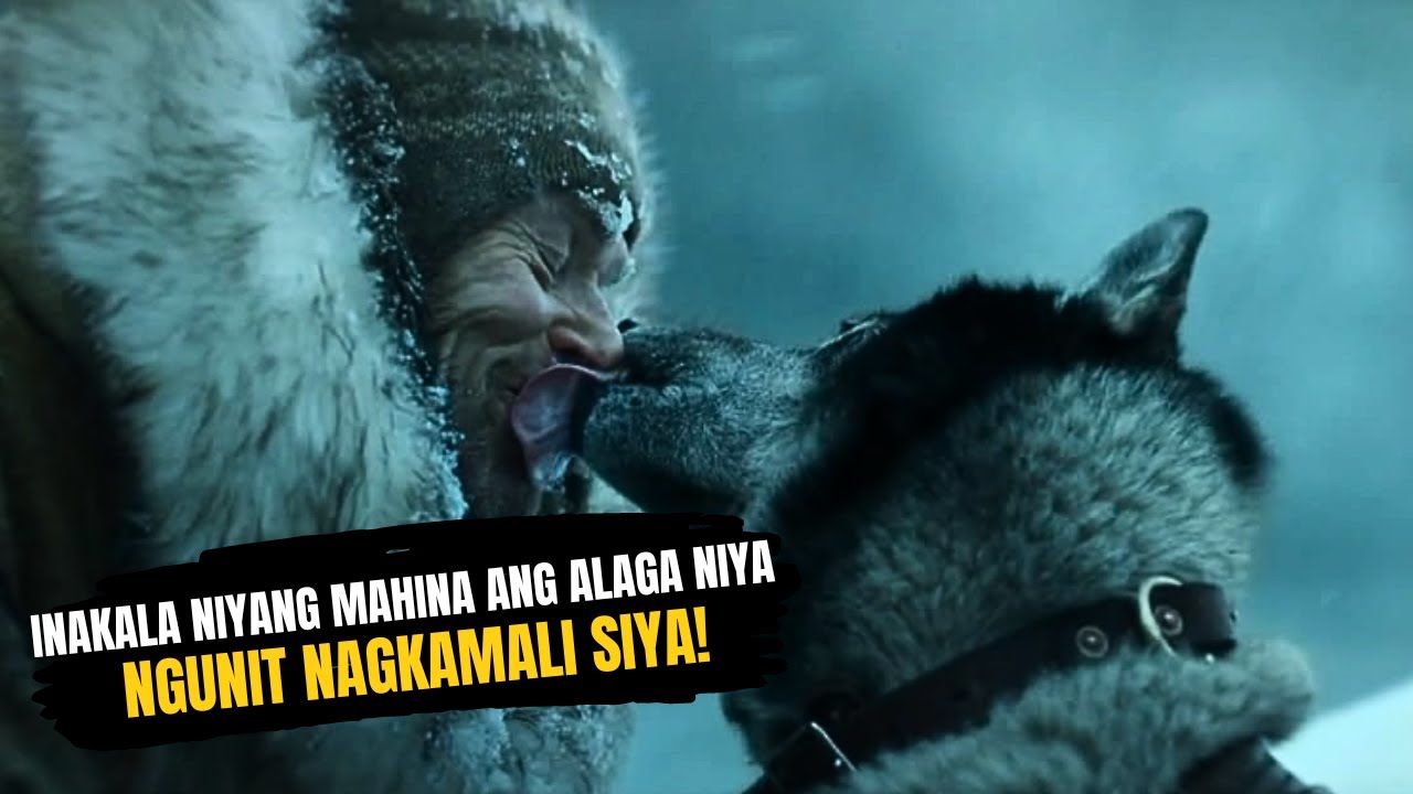 Binenta Niya Ang Isang Mahinang LOBO Ngunit Nagsisi Siya Pagkatapos ...