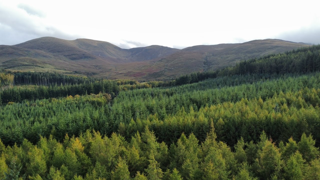 Tully more forest, Newcastle NI - YouTube