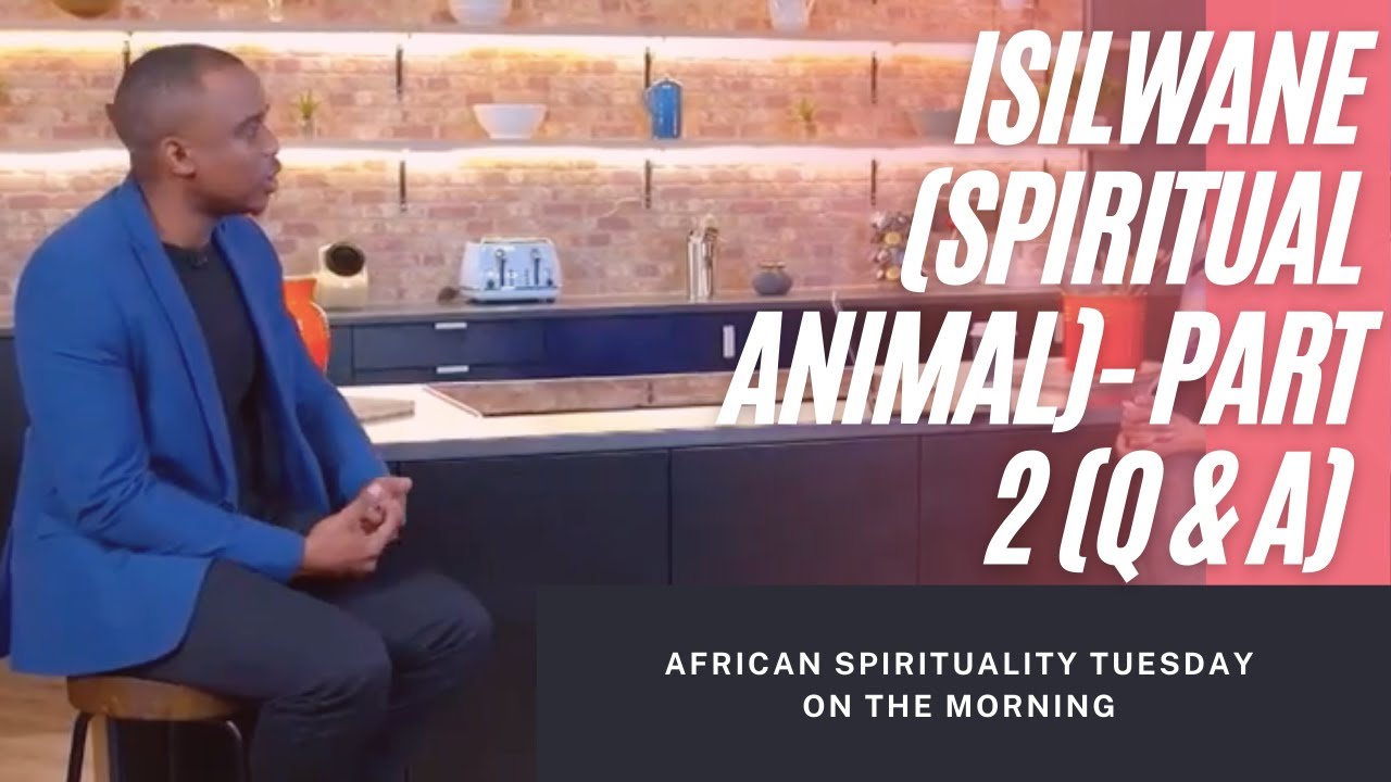 Isilwane in your home and body - Part 2 (Q & A) - YouTube