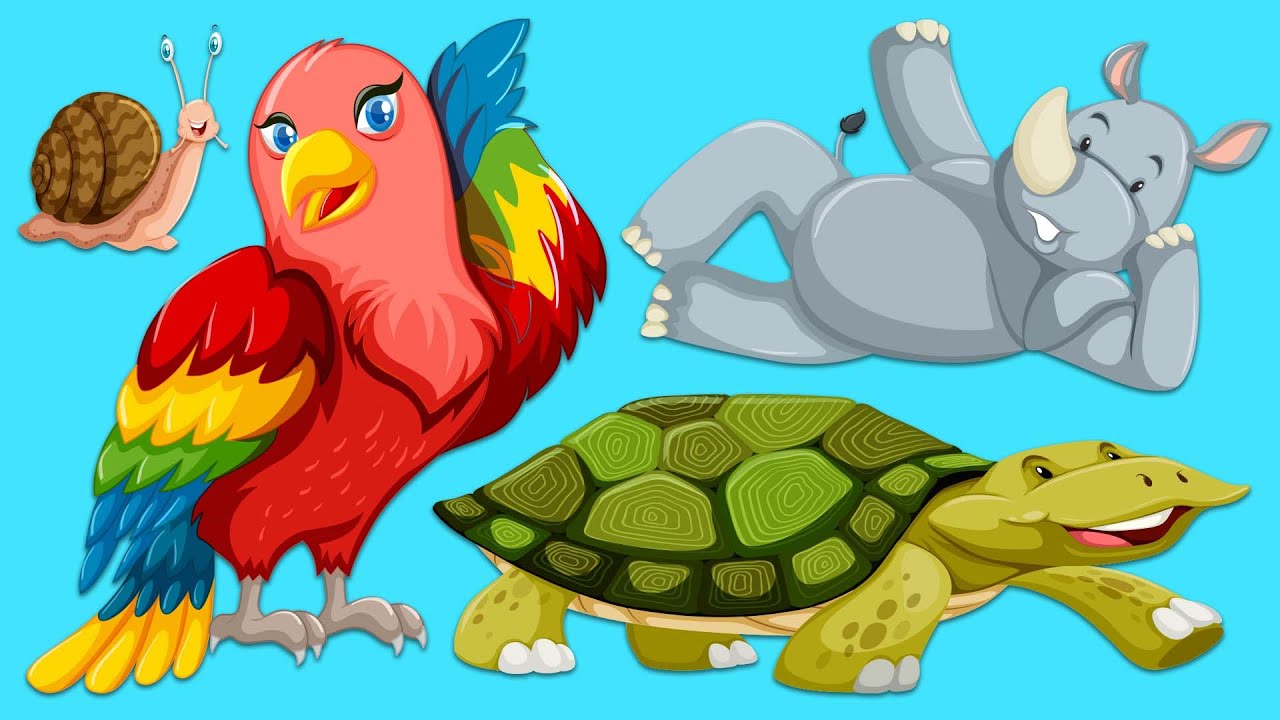 Animal Run - Gameplay Walkthrough - All Levels (IOS, Android) - YouTube