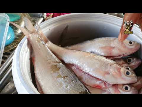 Rumah makan rusa - YouTube