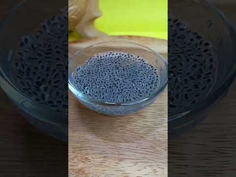 Soaking Basil Seed #shorts #viral #youtubeshorts #ytshorts #trending