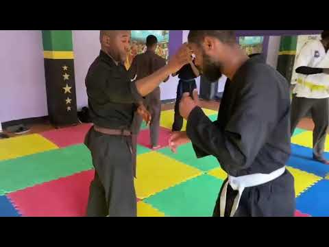 Wushinkido Jamaica/Kyokushin Karate Mixing Strikes with throws. - YouTube