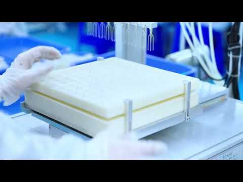 Vapomesi Company Introduction - YouTube
