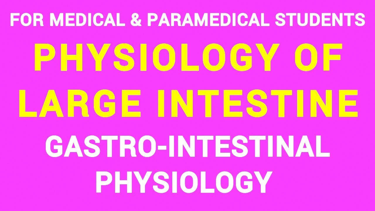 11 LARGE INTESTINE PHYSIOLOGY | GIT PHYSIOLOGY - YouTube