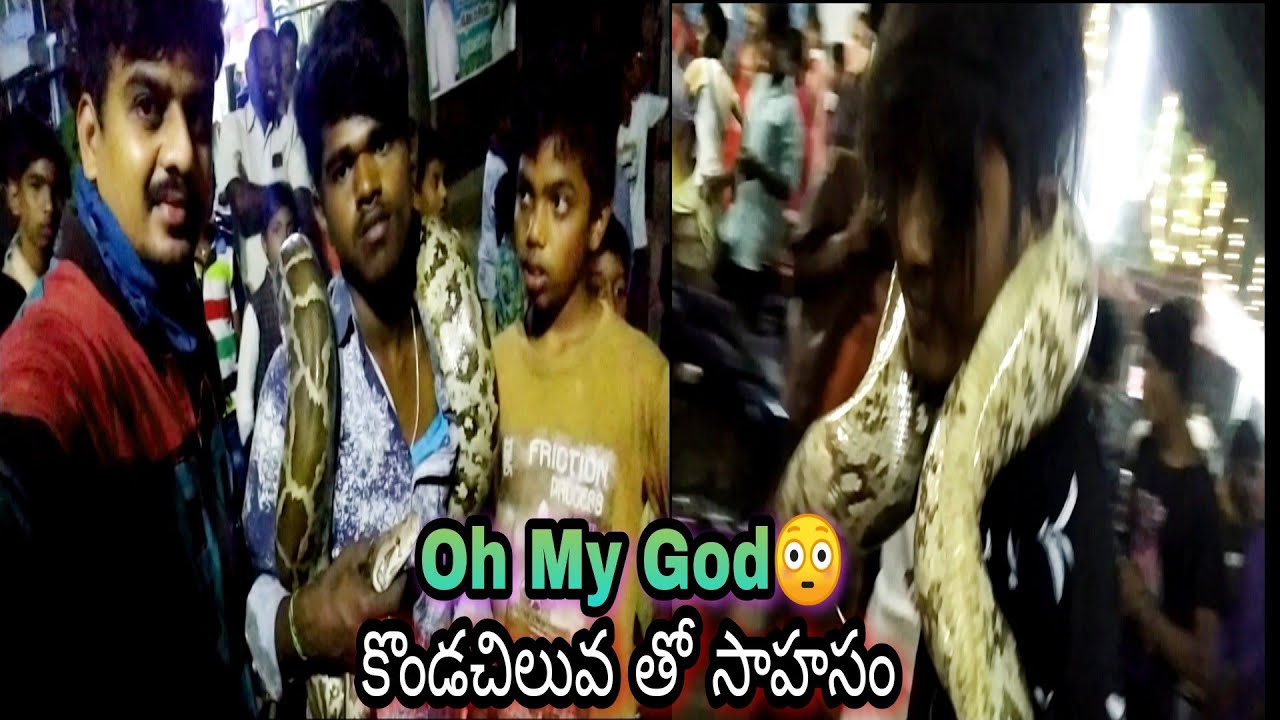 Anaconda | konda chiluva | dangerous python | konda chiluva pamu | # ...