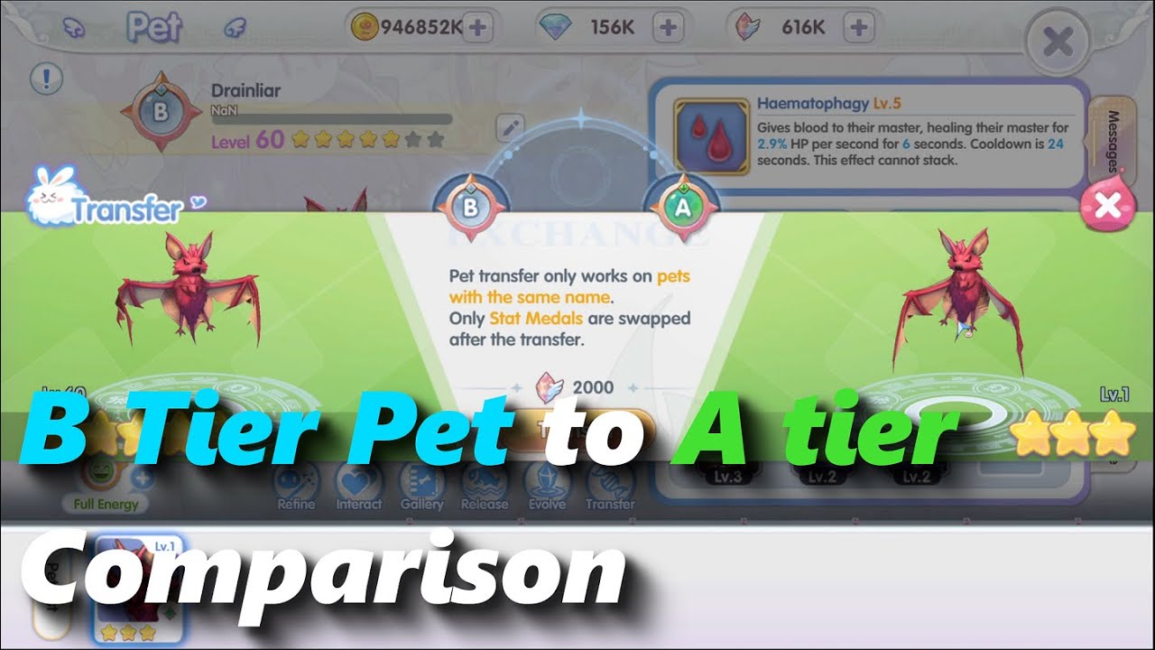 A rank Pet vs B rank comparison | rox | Ragnarok X: Next Generation ...