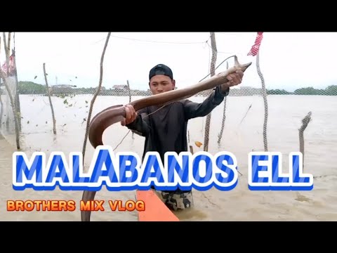 #EP-131 MALABANOS- ELL PAG PANDAW NG BAKLAD - YouTube