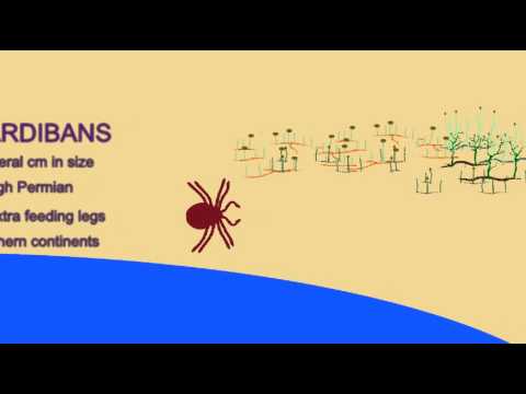 EVOLUTION OF SPIDERS - YouTube
