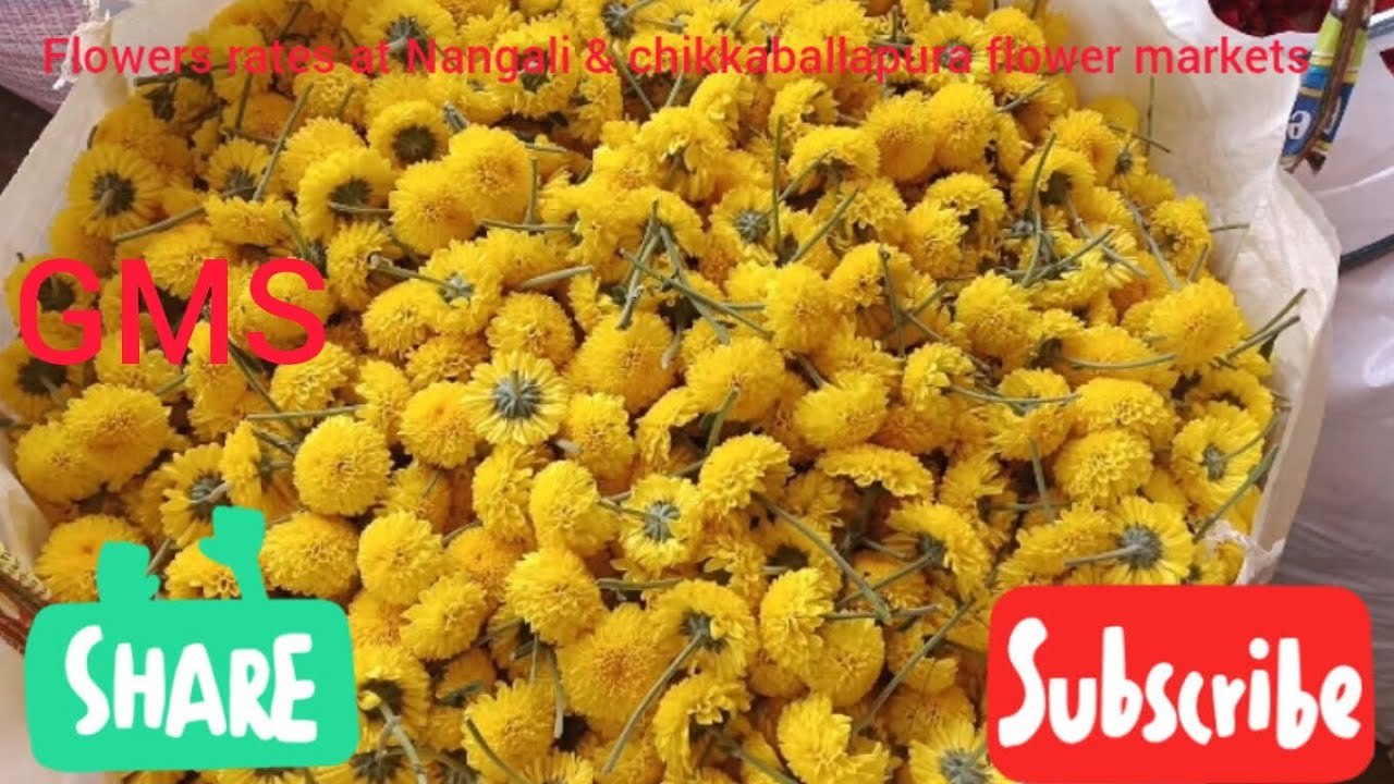 Today's flowers rates at chikkaballapura flower market 21 December 24 🌸 ...