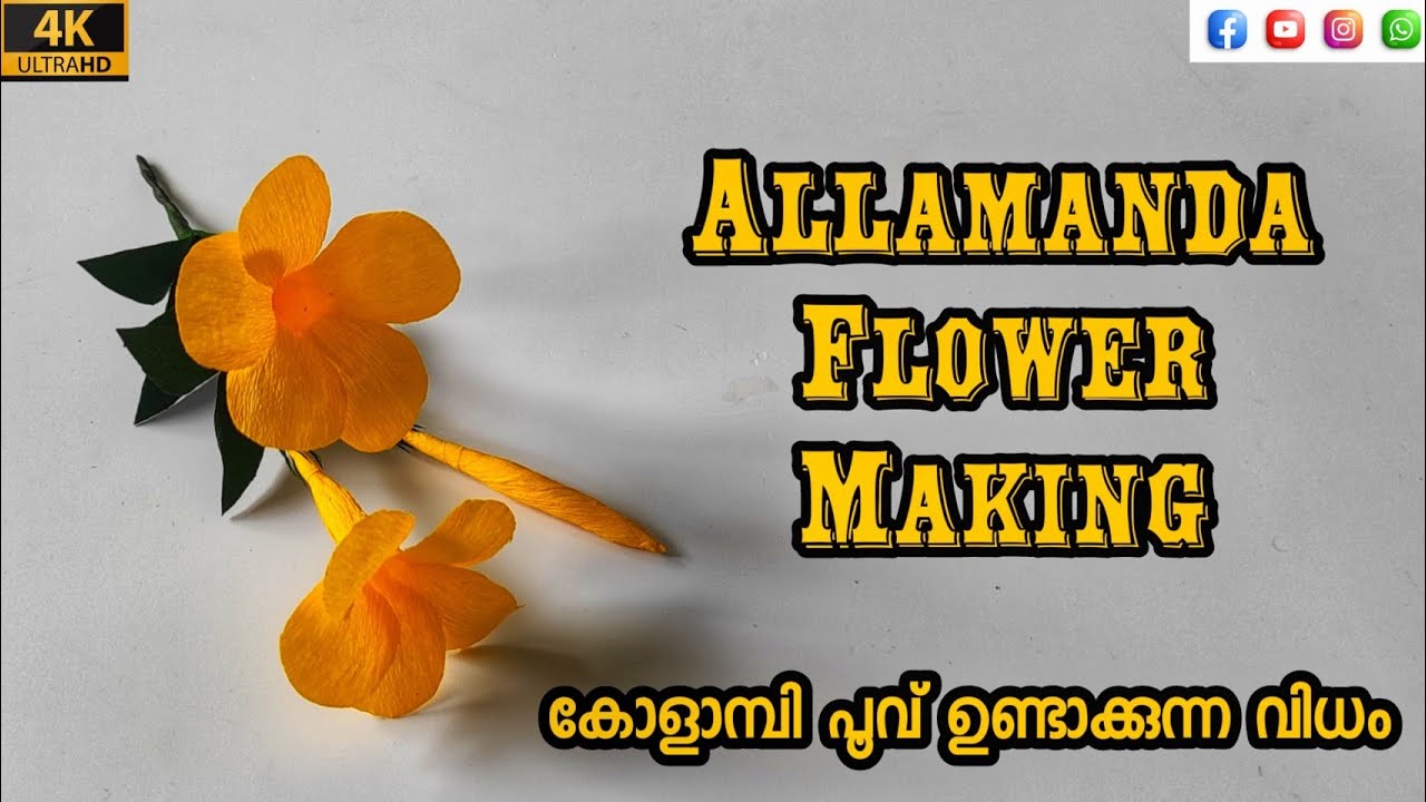 How to make allamanda flower | Allamanda flower making | Paper flower ...