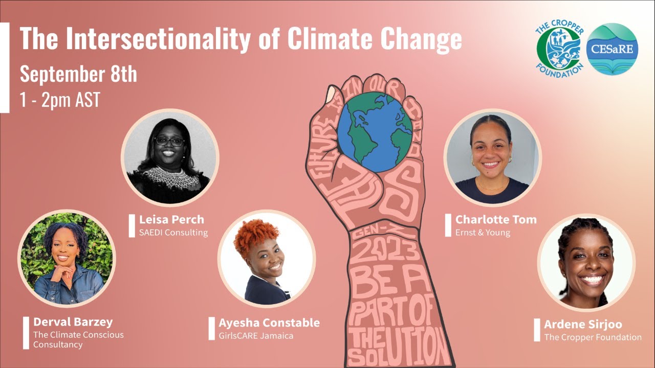The Intersectionality of Climate Change - YouTube
